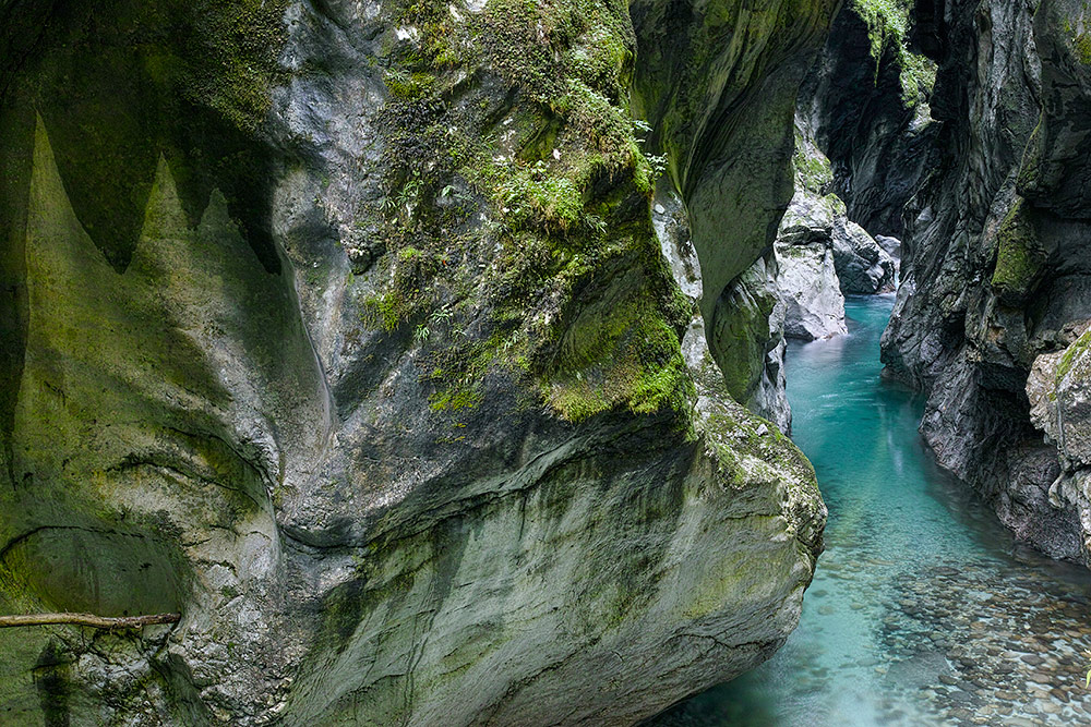 Aktuelles - Ines Mondon Naturfotografie